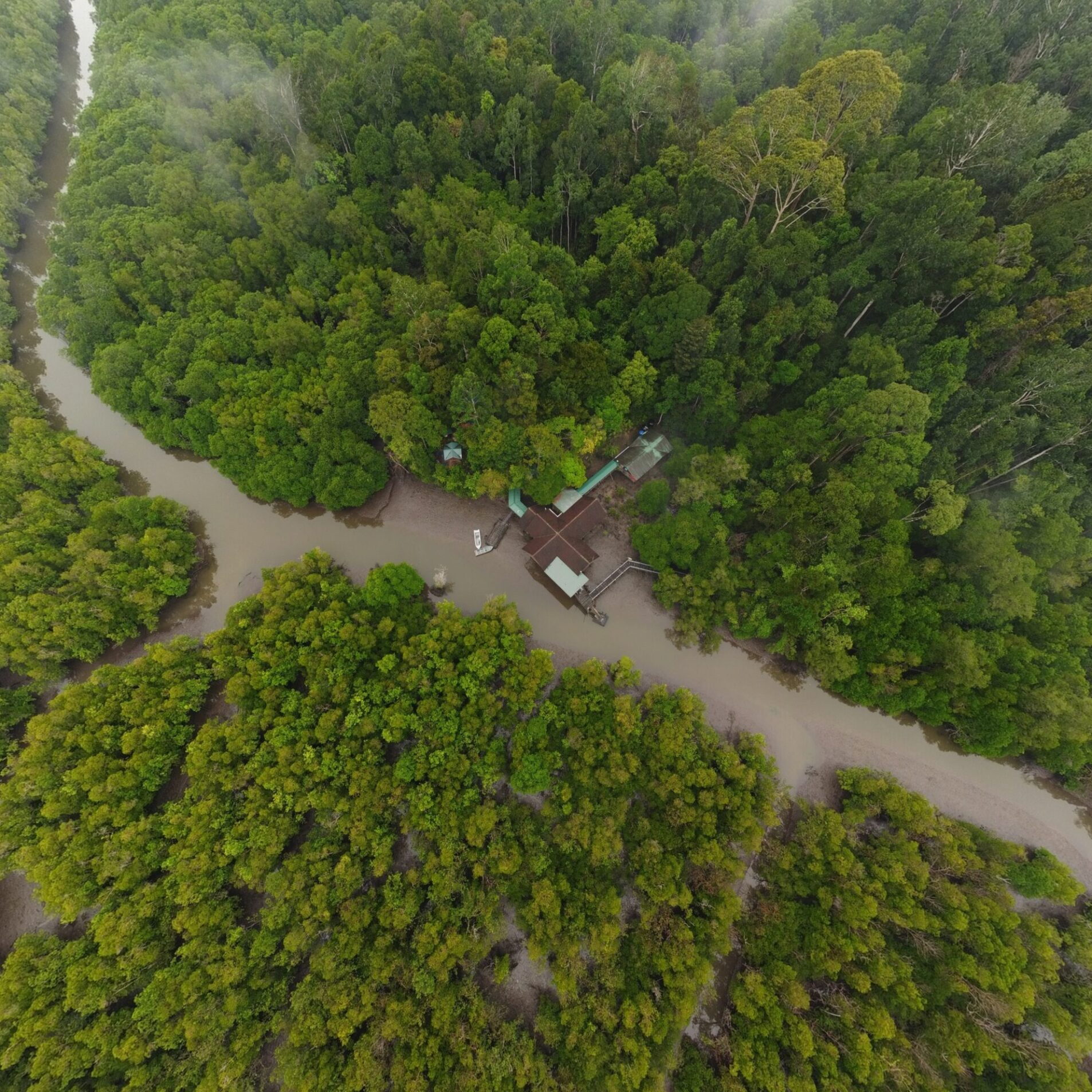Borneo - Conservation Field Safety Expeditions