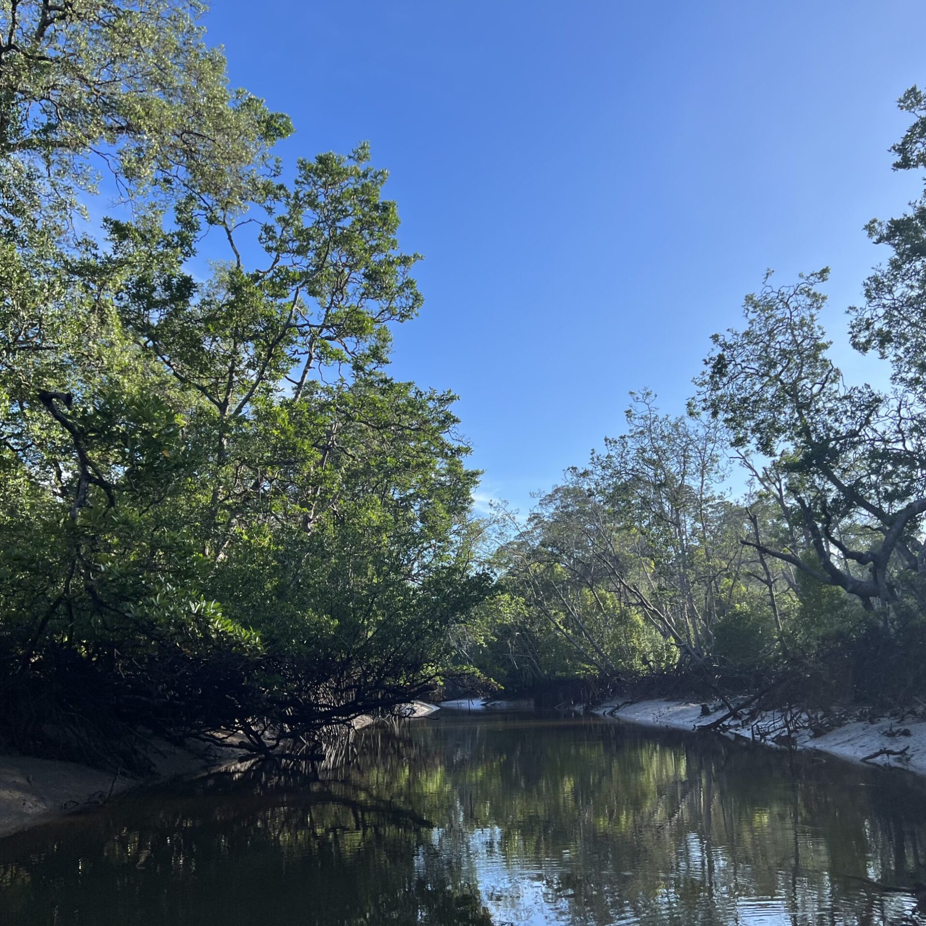 Borneo - Conservation Field Safety Expeditions